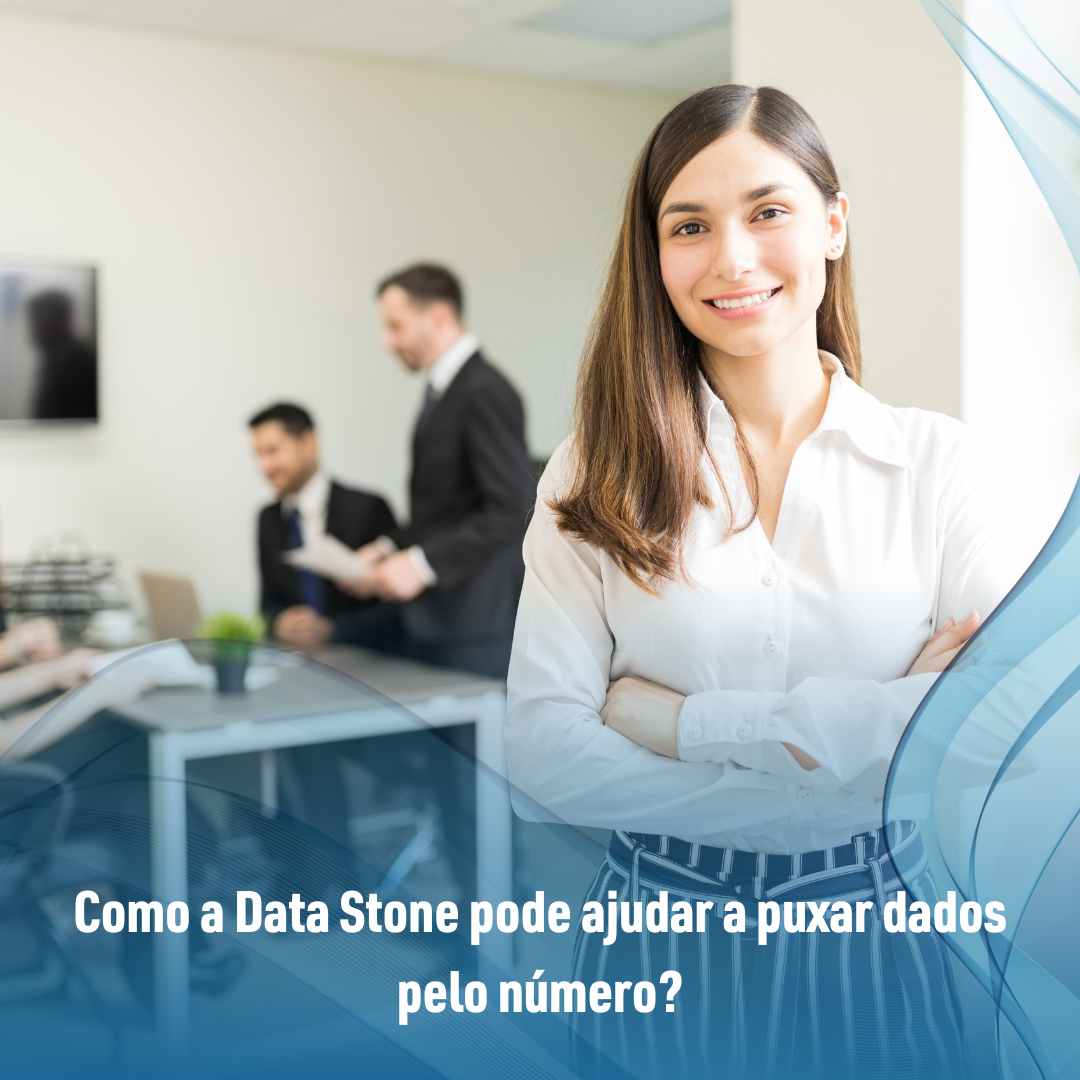 Como a Data Stone pode te ajudar a puxar dados pelo número?